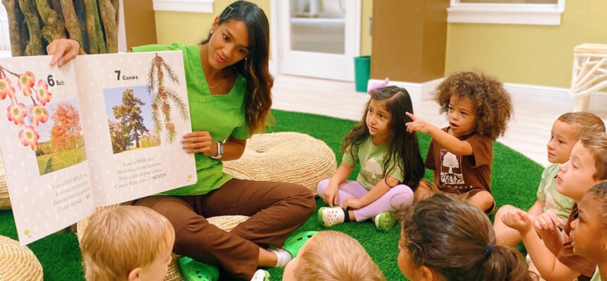 Gallery - Treehouse Academy